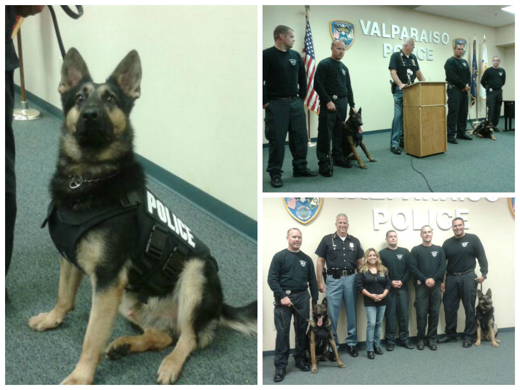 Valparaiso Police K9s Receive Bullet Proof Vests - GreatNews.Life